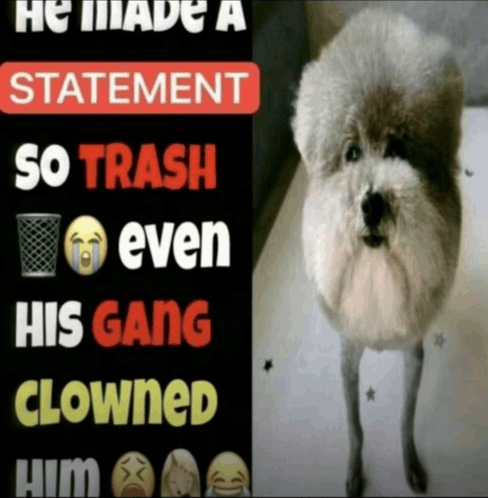 "He Made a Statement So Trash" Meme, Explained – WAHUP