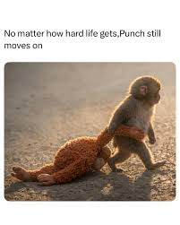 Punch the Monkey Meme, Explained – WAHUP