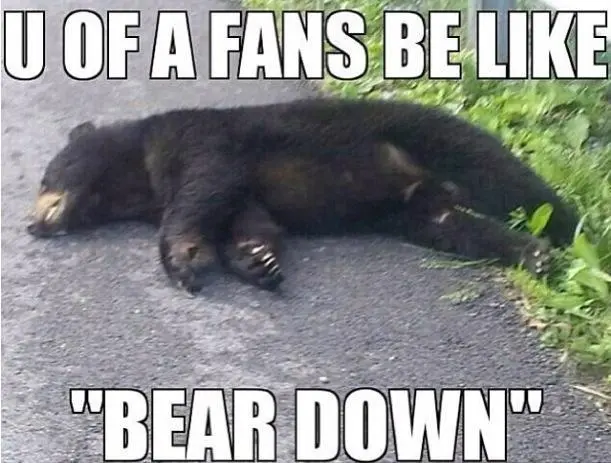 Bear Down Meme, Explained – WAHUP