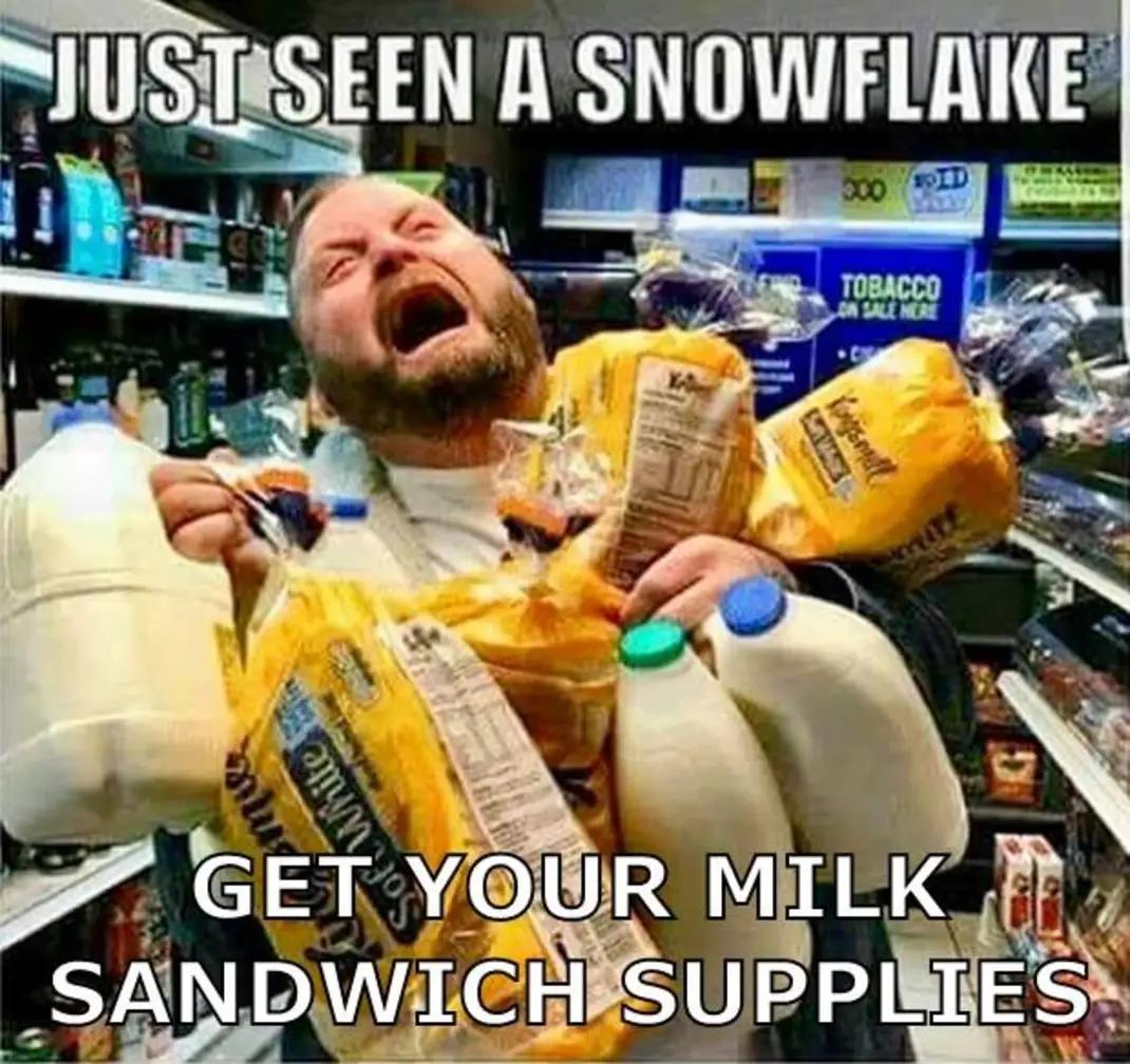 Milk Sandwich Meme, Explained – WAHUP