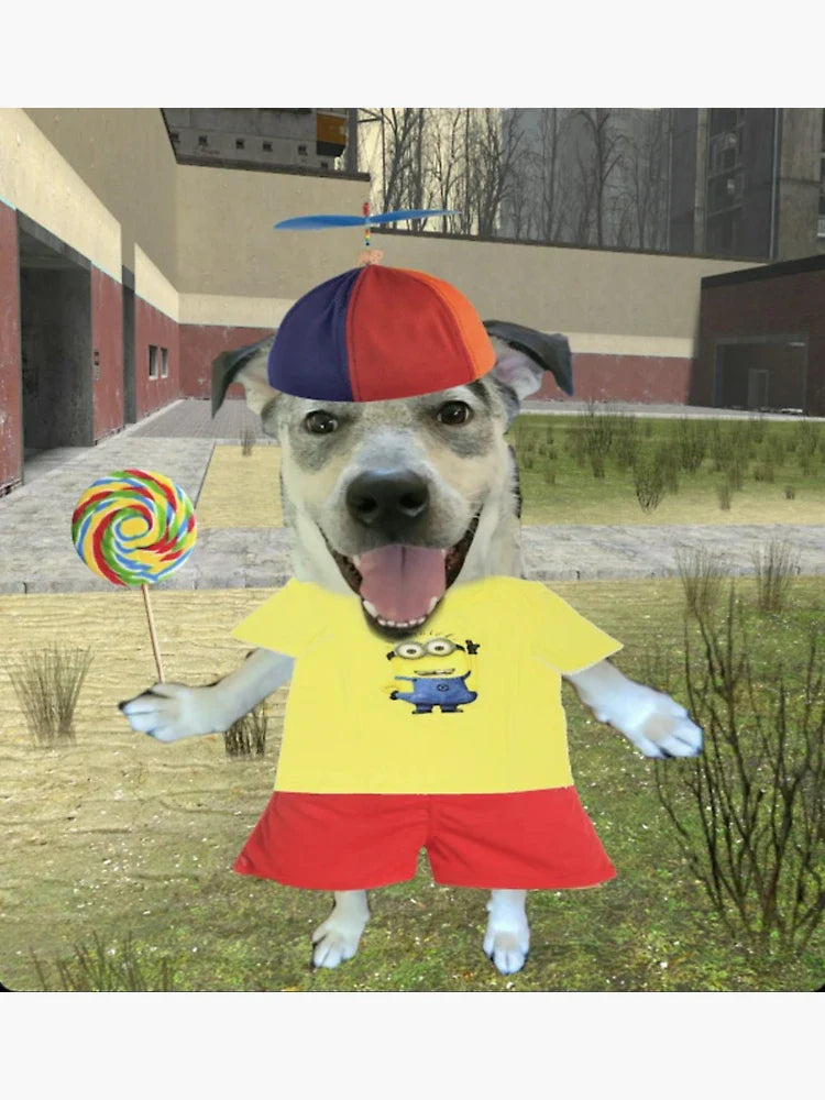 Dog With Lollipop Meme: Sweet, Silly, and Instantly Shareable – WAHUP
