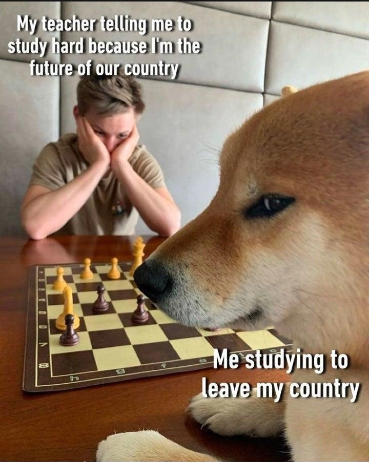 Checkmate Meme, Explained – WAHUP