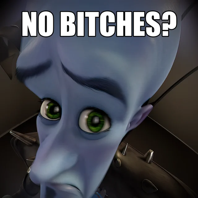 "No Bitches" Meme, Explained – WAHUP