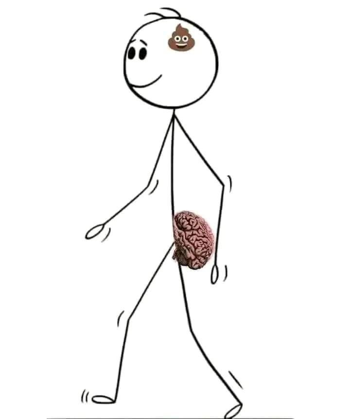 Brain in Butt Meme, Explained – WAHUP