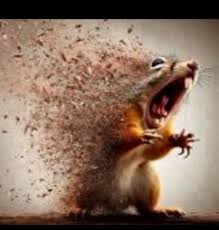 Squirrel Fading Away Meme: Meaning & How to Use It – WAHUP